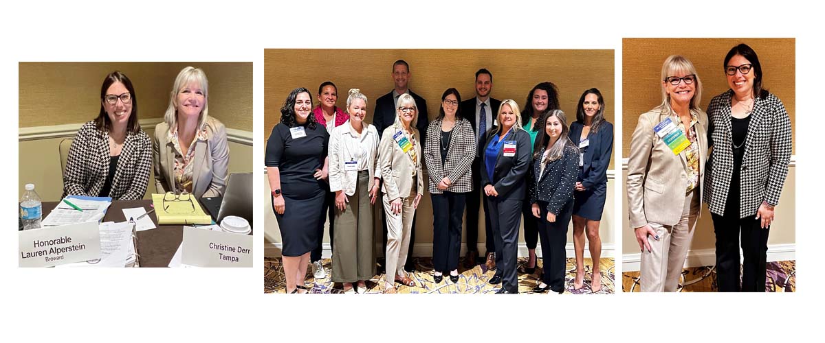 Judge Alperstein Leads Workshop for Family Law – Seventeenth Judicial ...